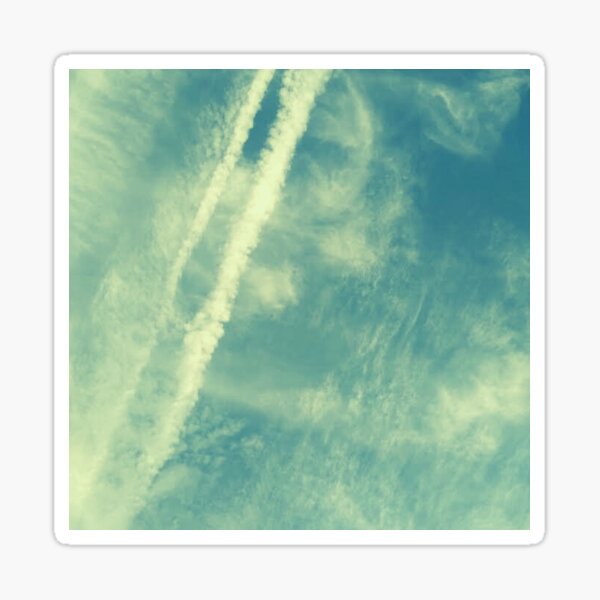 Susan Pfrender Shop | Redbubble