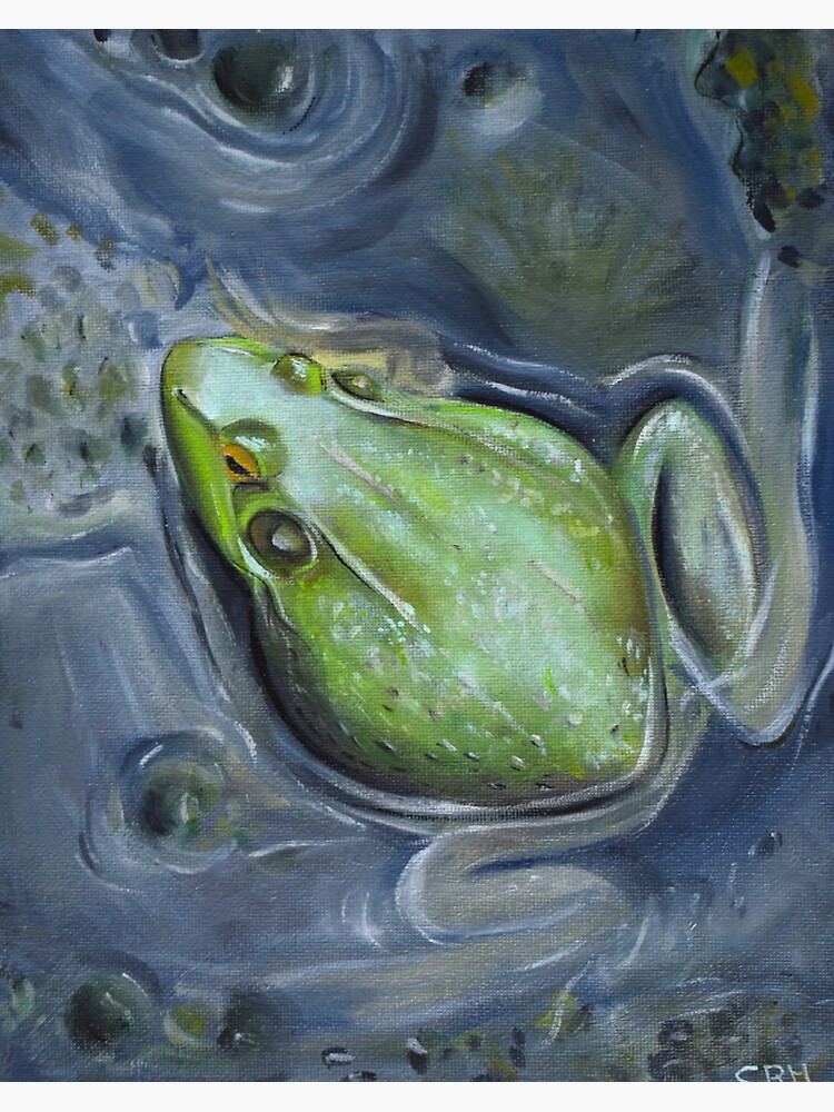 "Frog Original Oil Painting" Sticker by CheathermanArt | Redbubble