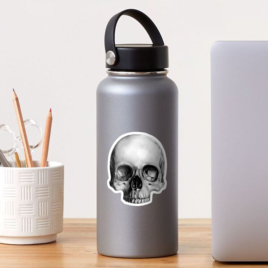 "Half Skull" Sticker for Sale by bonedesigns | Redbubble