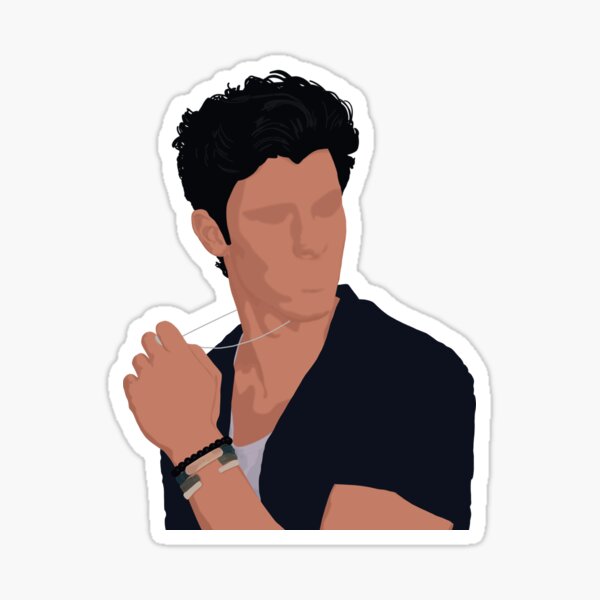 "Shawn :)" Sticker for Sale by mariavabad | Redbubble