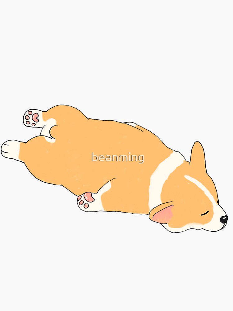 "Cute Sploot Sleeping Corgi" Sticker by beanming | Redbubble