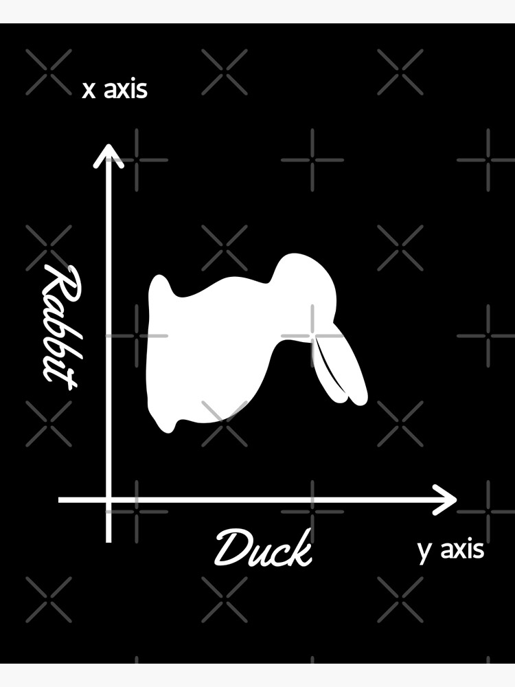 "Rabbit or Duck Optical Illusion Math Philosophy Geometry Graph" Metal ...