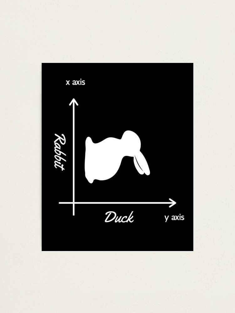 "Rabbit or Duck Optical Illusion Math Philosophy Geometry Graph ...