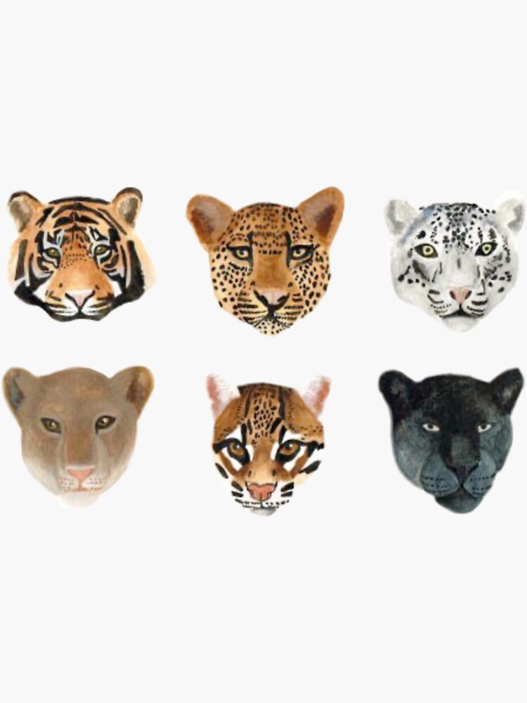 "tiger sticker pack ★" Sticker by madebychar | Redbubble