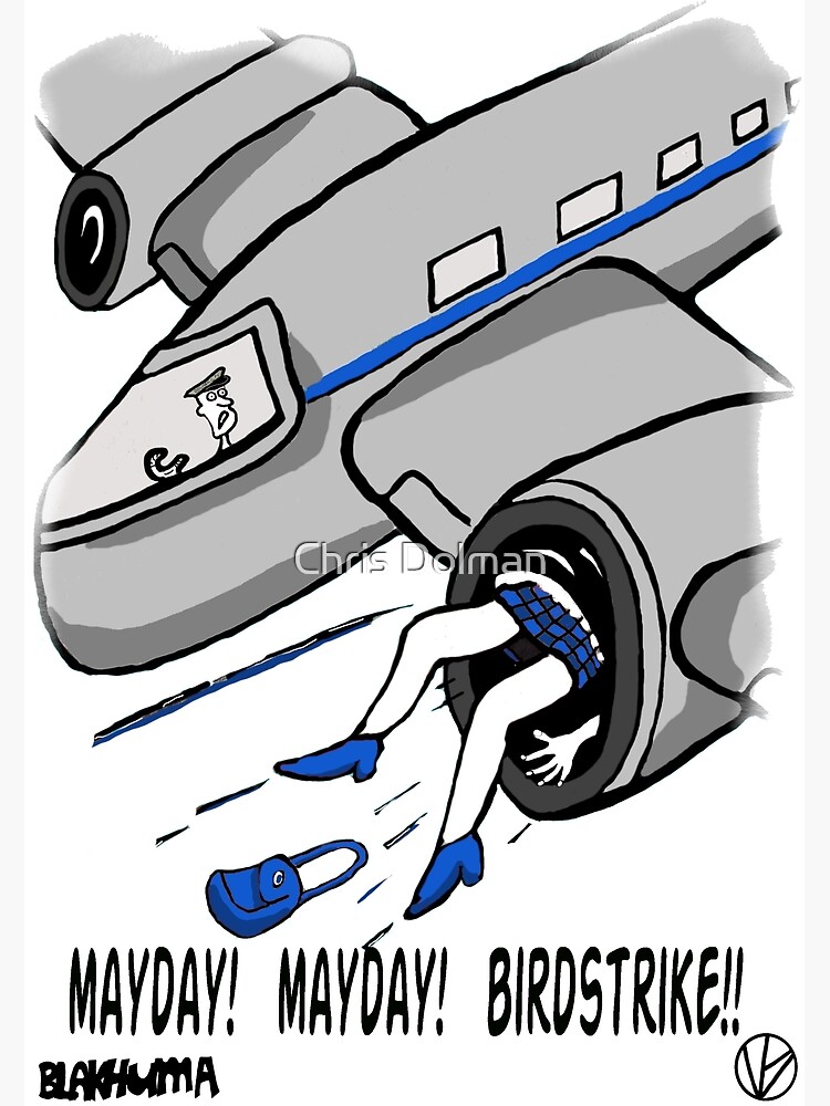 "A Plane Accident - Mayday! Mayday! Bird strike!!" Poster by Blakhuma ...
