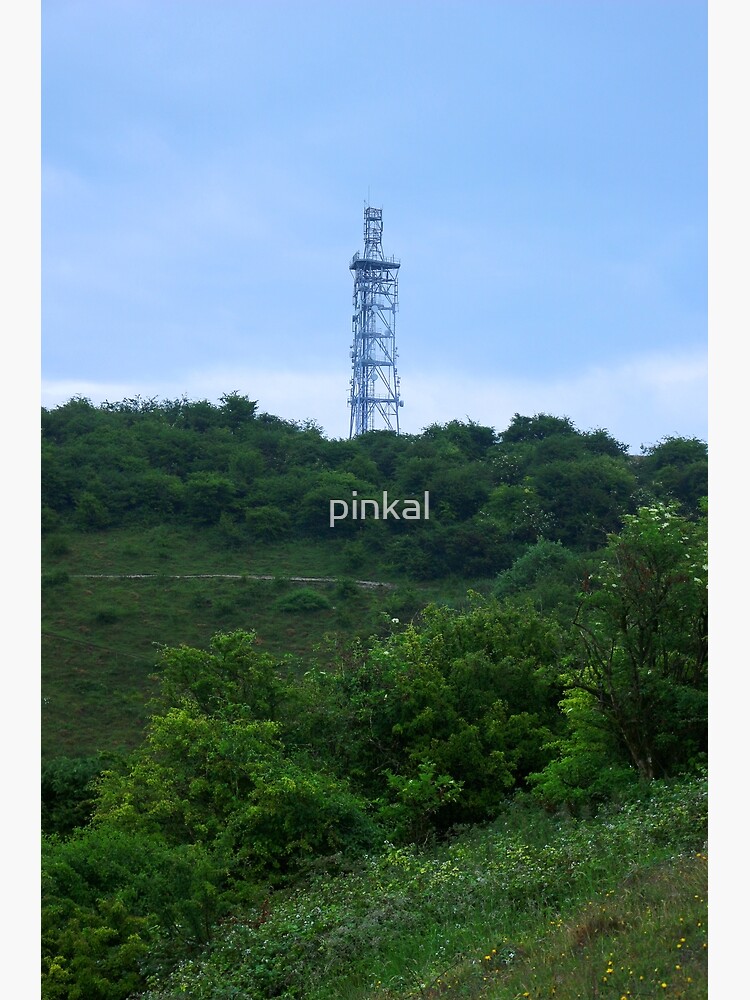 Pinkal Logo
