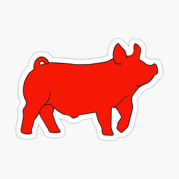 "Show Pig, showpig, stocks how, stock show, ffa, pig, hog, 4-H" Sticker ...