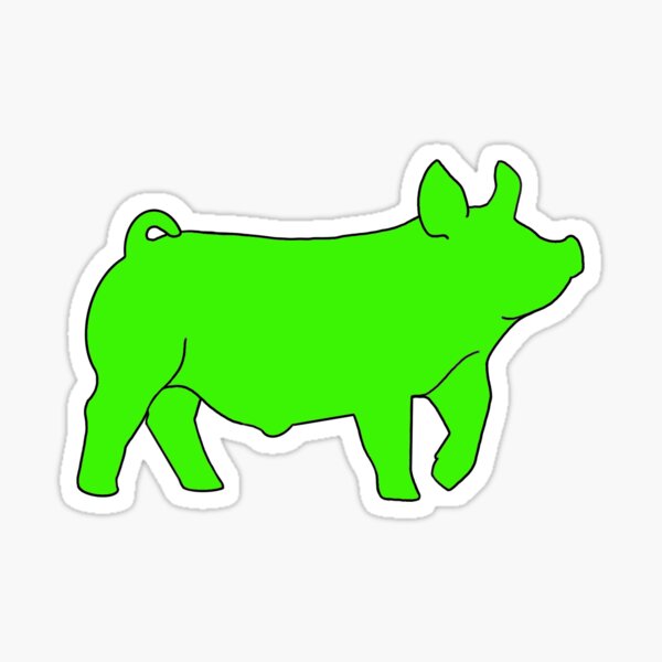 "Show Pig, showpig, stocks how, stock show, ffa, pig, hog, 4-H" Sticker ...