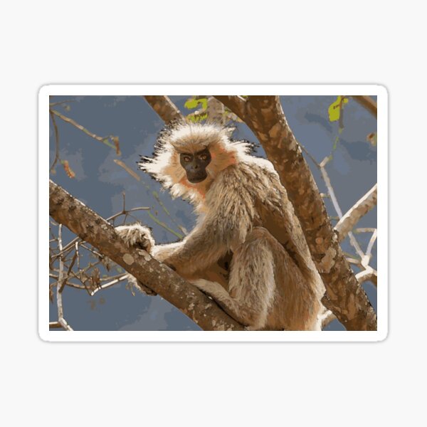 "Golden Langur Painting" Sticker by saintiro | Redbubble