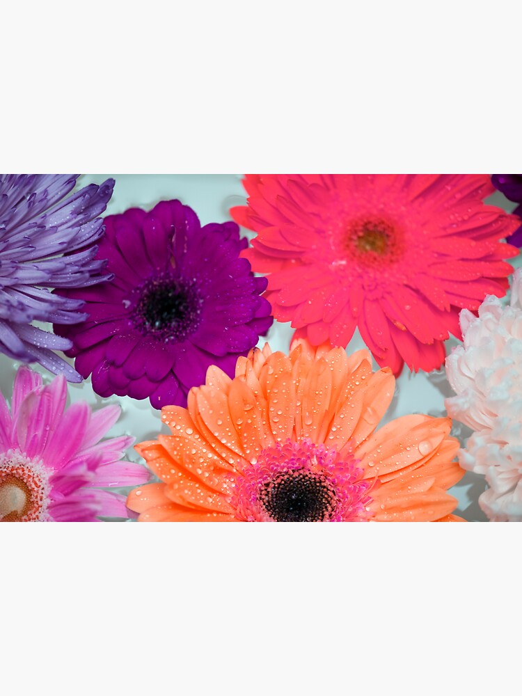 "Bright Pink & Purple Flowers" Sticker for Sale by newburyboutique ...