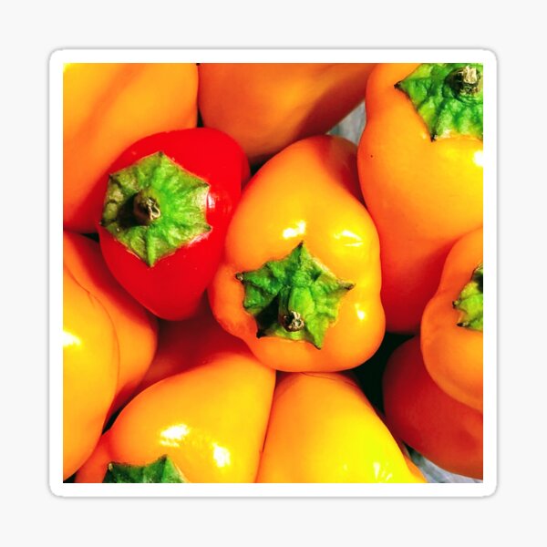 "Peppers Orange and Yellow" Sticker for Sale by lifepatterns | Redbubble