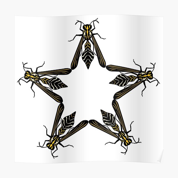 "Potter Wasp Star" Poster by Rachel-Skinner | Redbubble
