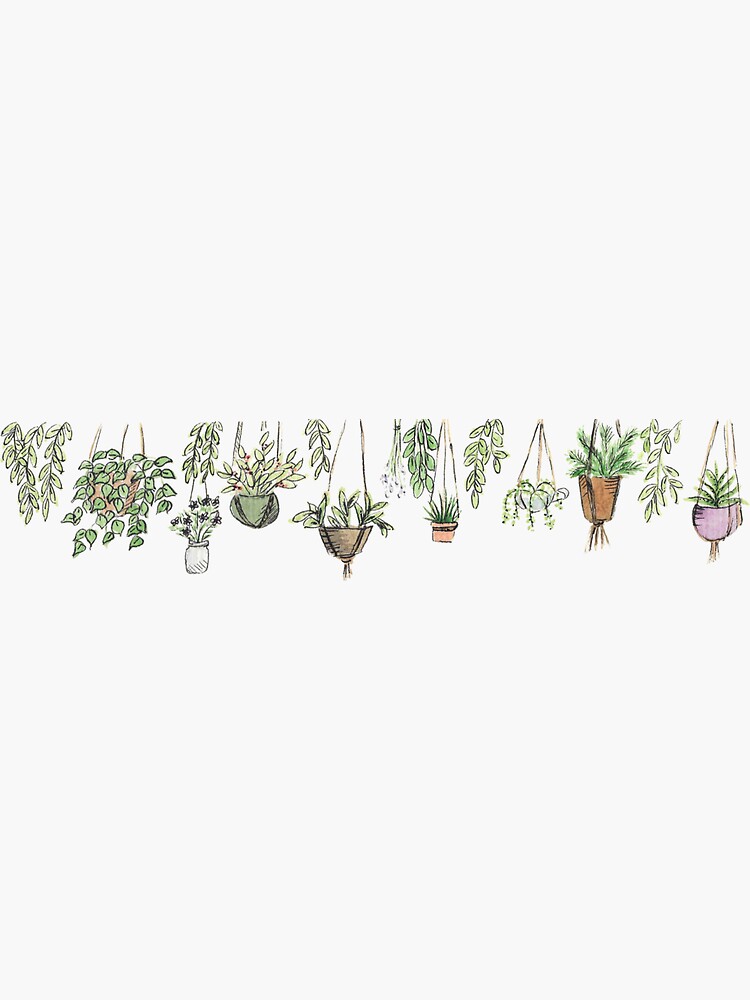 "Hanging Plants" Sticker by phoebewhat | Redbubble