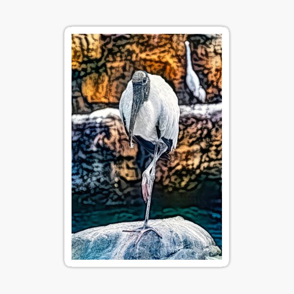 "Bird on One Leg" Sticker for Sale by cfspider | Redbubble