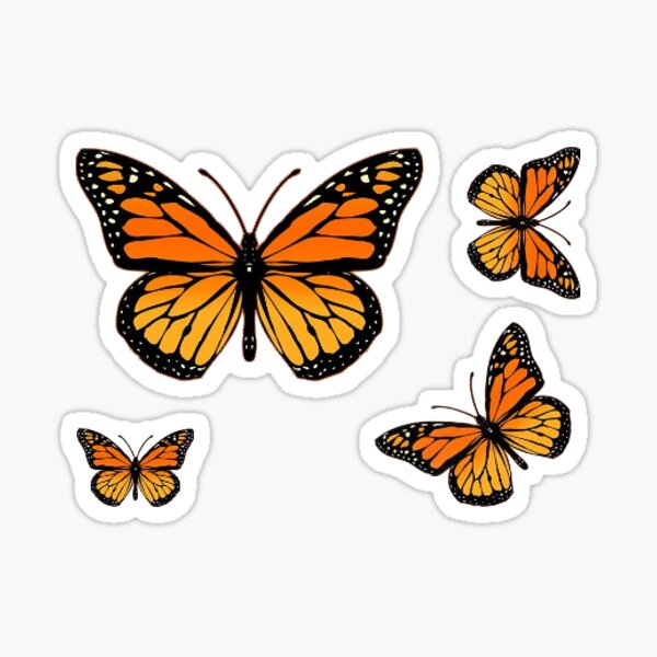 "Orange butterfly sticker pack" Sticker by Maysa--N | Redbubble