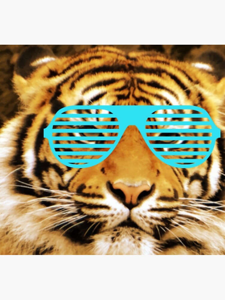 "Disco tiger" Poster by Shurikam | Redbubble