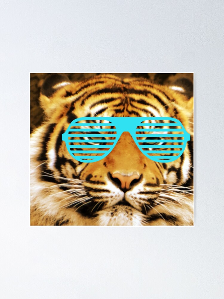 "Disco tiger" Poster by Shurikam | Redbubble