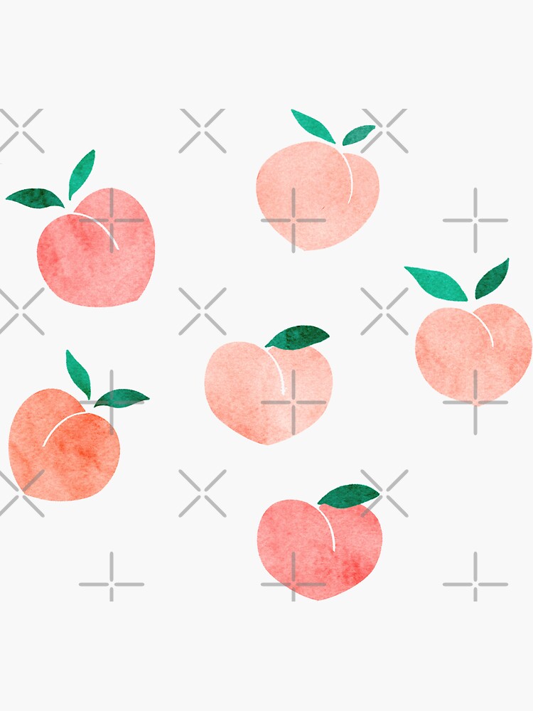 "Summer Peaches" Sticker for Sale by melissamakes | Redbubble