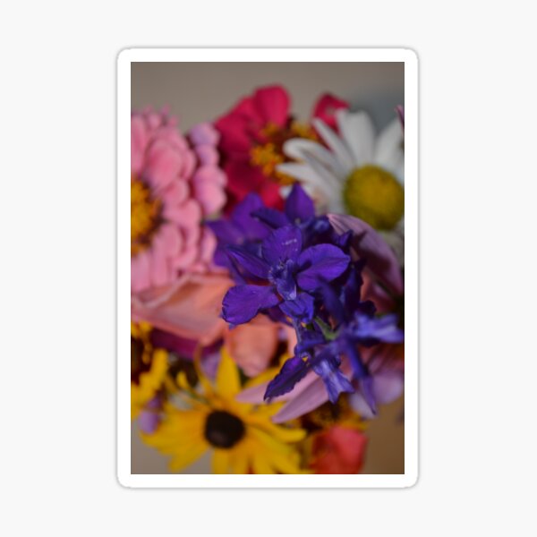 Fiveladiesart Shop | Redbubble