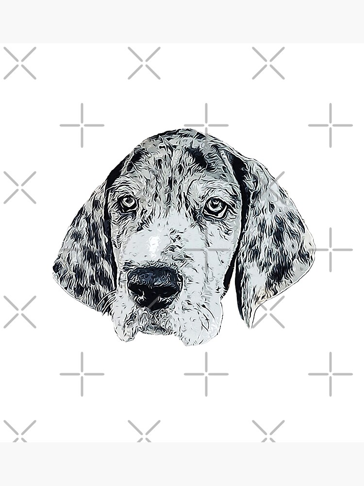 "Merle Great Dane Puppy Face Art" Poster for Sale by Elarex | Redbubble