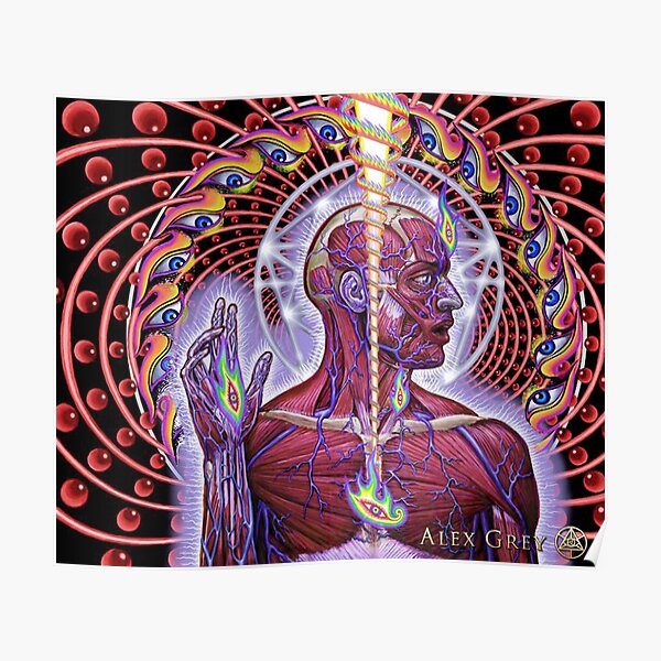Tool Lateralus Posters | Redbubble