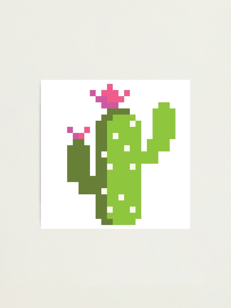 "cacti pixel art" Photographic Print by easyhop | Redbubble