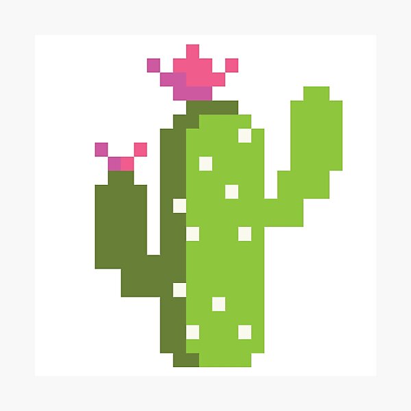 "cacti pixel art" Photographic Print by easyhop | Redbubble