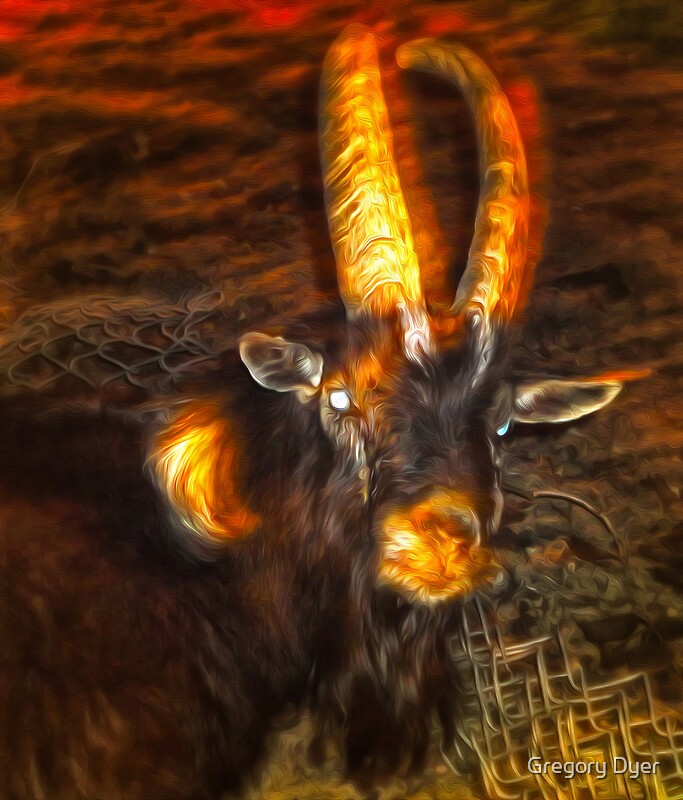 "Evil Goat" by Gregory Dyer | Redbubble