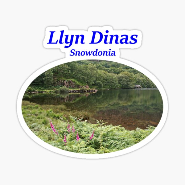 "Lynn Dinas" Sticker for Sale by DavidRMurphy | Redbubble