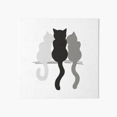 "Three Cat Friends Forever in White Background - Black, White Gray Cats ...