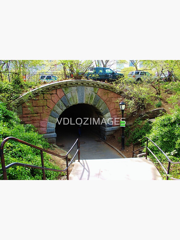 "Inscope Arch - Central Park" Poster for Sale by VDLOZIMAGES | Redbubble