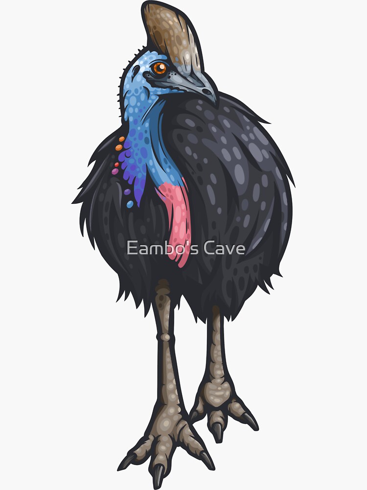 "Southern Cassowary" Sticker by Ginboy | Redbubble