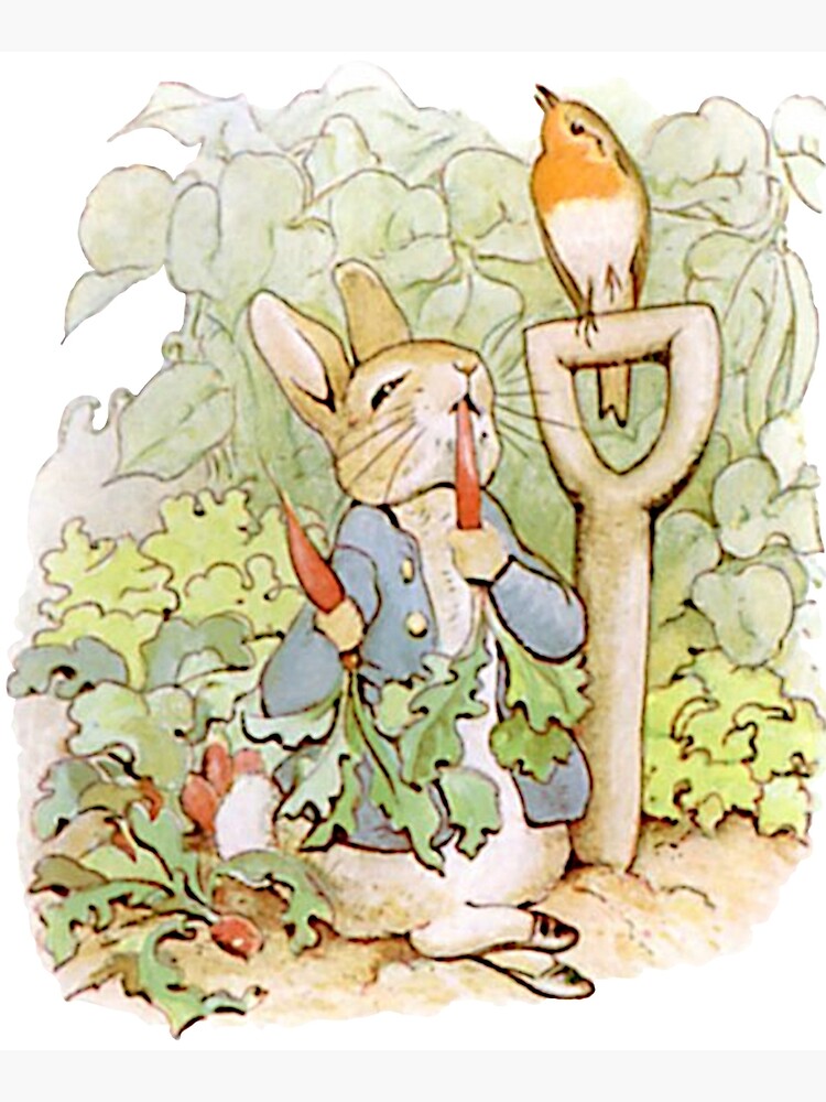 "Peter Rabbit eating carrots" Mounted Print for Sale by AmyOlsen ...
