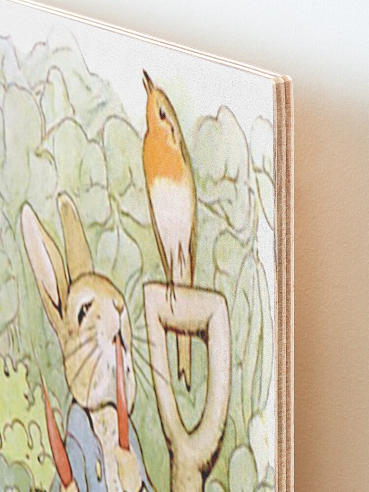 "Peter Rabbit eating carrots" Mounted Print for Sale by AmyOlsen ...