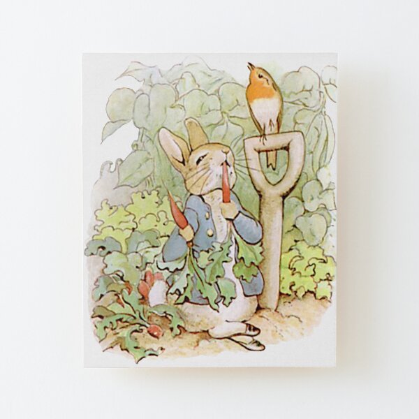 "Peter Rabbit eating carrots" Mounted Print for Sale by AmyOlsen ...