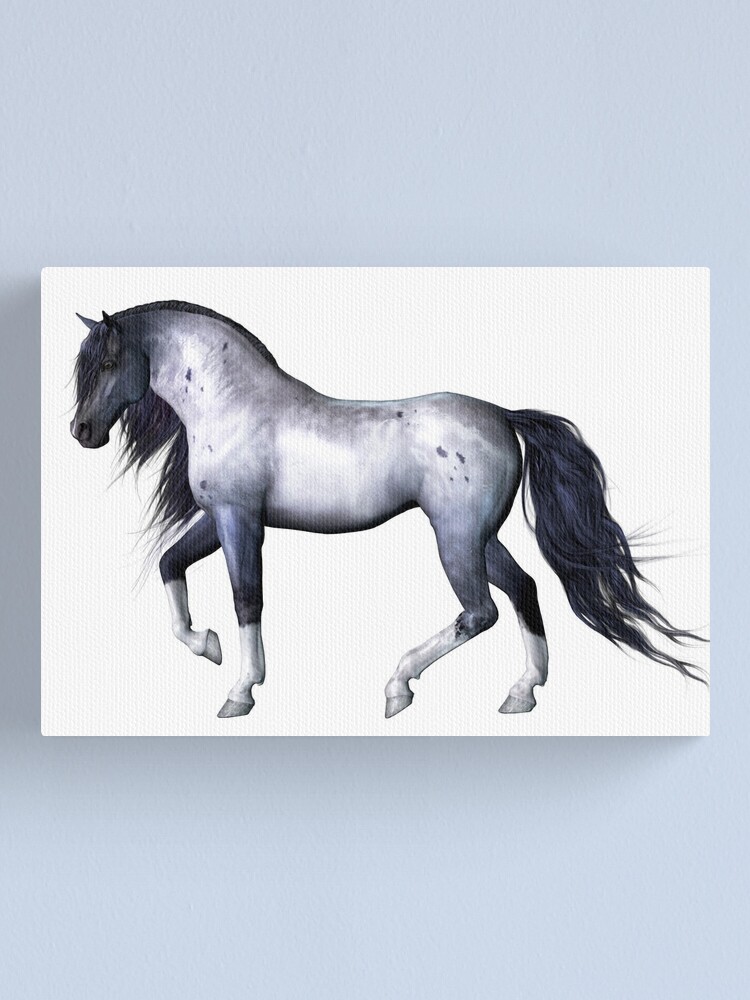 Color Azul Del Caballo Ruano