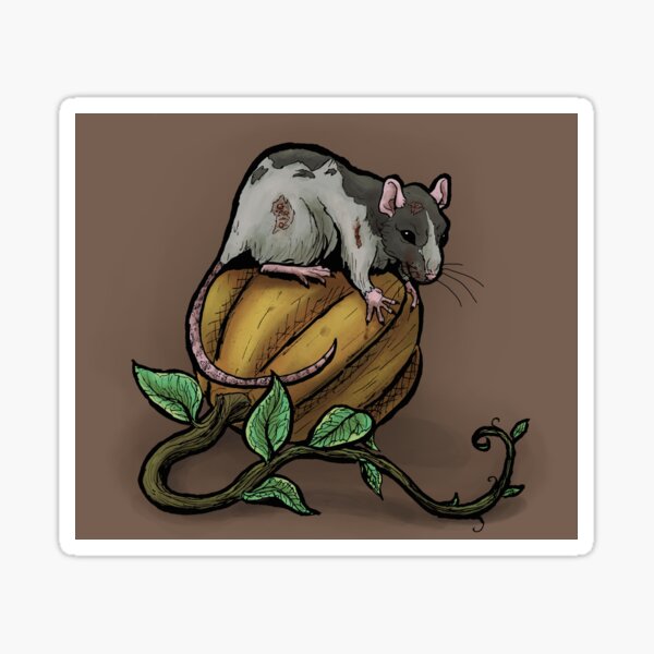 "Zombie rat on a pumpkin " Sticker for Sale by Outlawedwoman | Redbubble