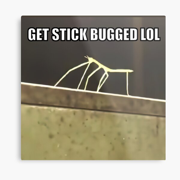 "get stick bugged lol" Metal Print for Sale by Goath | Redbubble