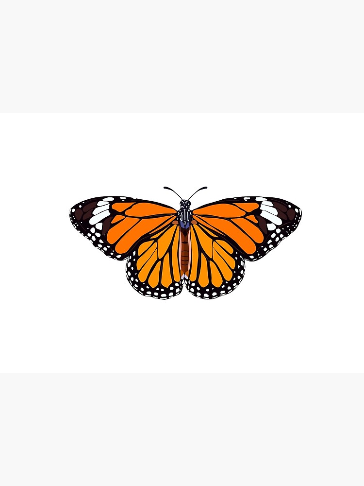 "Monarch Butterfly" Art Print for Sale by stemlin | Redbubble
