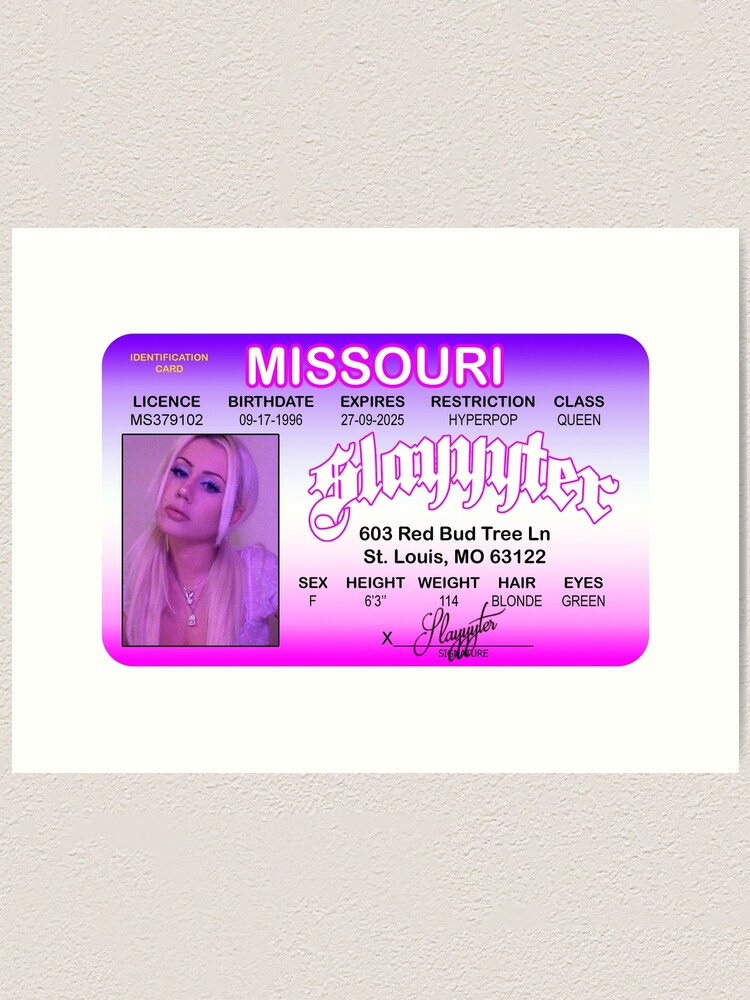 "Slayyter Identification Card" Art Print by cybergushy | Redbubble