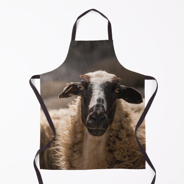 "Schwarzes Schaf - Zypern Chios Schaf" Schürze von Vienewi | Redbubble