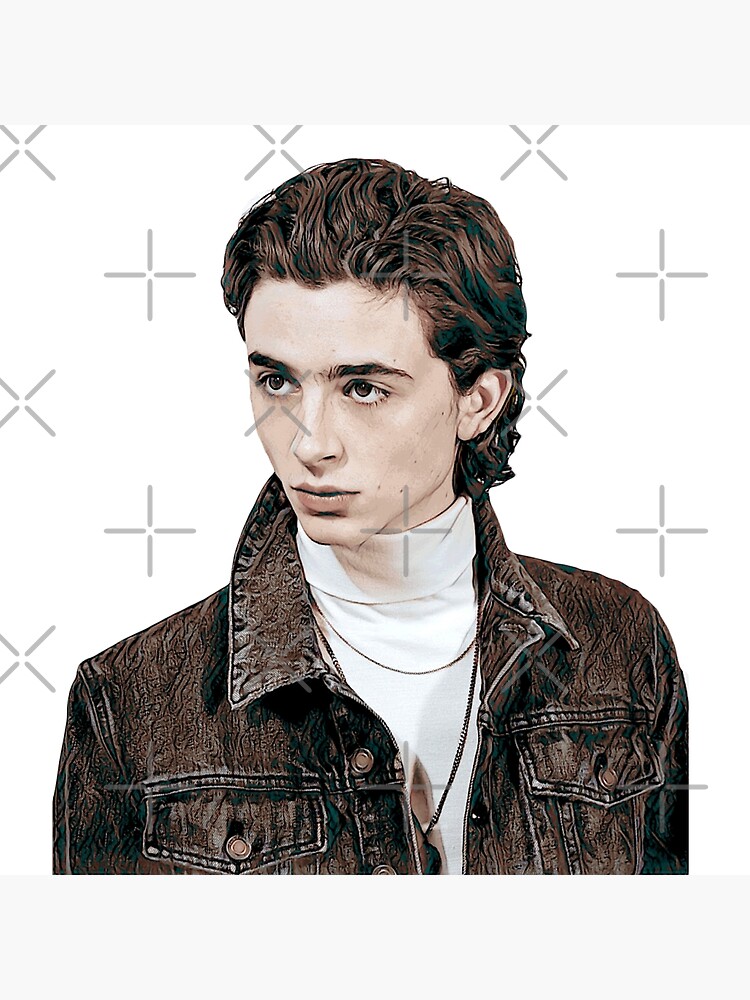 "Sketch handsome timothee chalamet" Poster for Sale by BonnieDriver ...