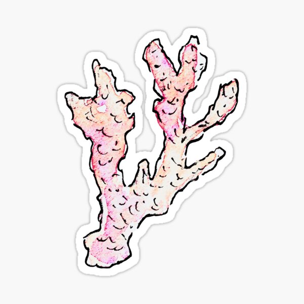 "Coral" Sticker for Sale by ArtbyHanVic | Redbubble