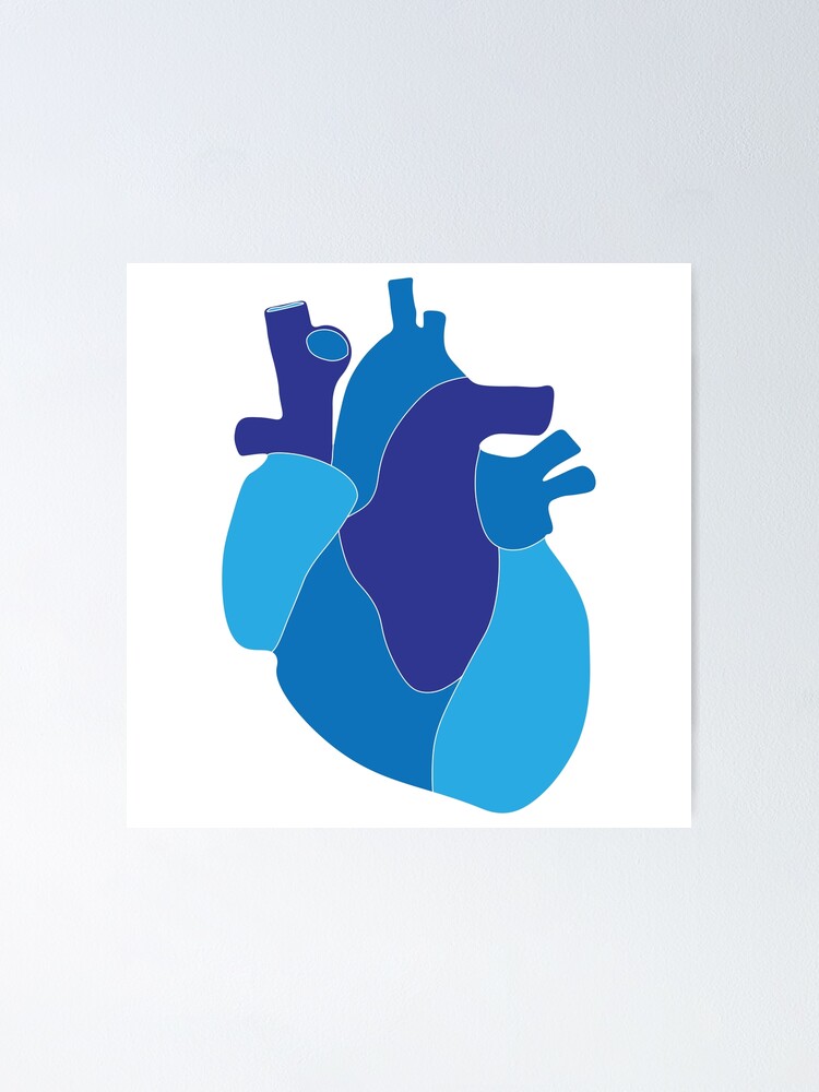 "Blue Anatomical Heart" Poster for Sale by laurenarterburn | Redbubble