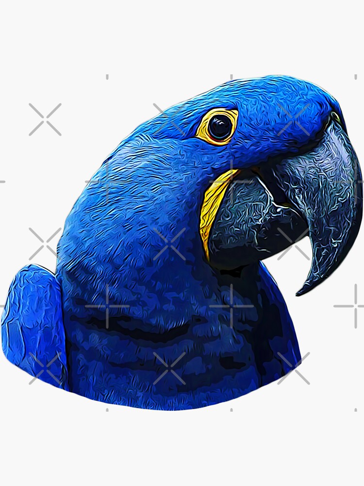 "Hyacinth Macaw - Beautiful Parrot" Sticker for Sale by Elarex | Redbubble