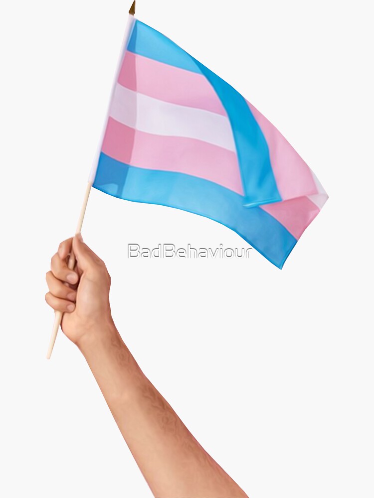 "Fly Your Flag (Trans)" Sticker for Sale by BadBehaviour | Redbubble
