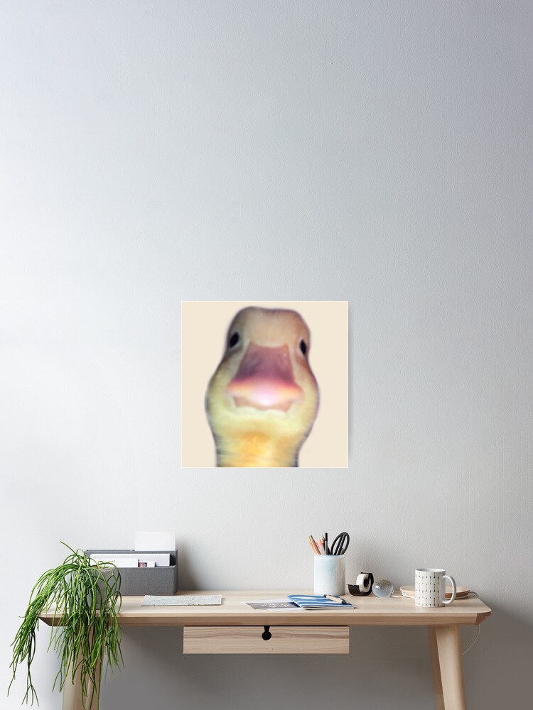"duck staring meme" Poster for Sale by coconj | Redbubble