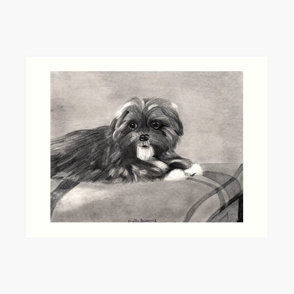 Peekapoo Dog Gifts & Merchandise | Redbubble