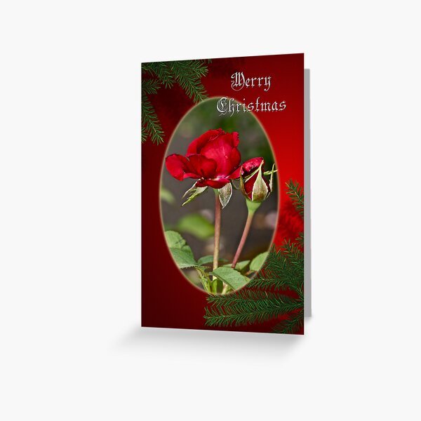 "Merry Christmas Greeting Card - Red Roses" Greeting Card for Sale by ...