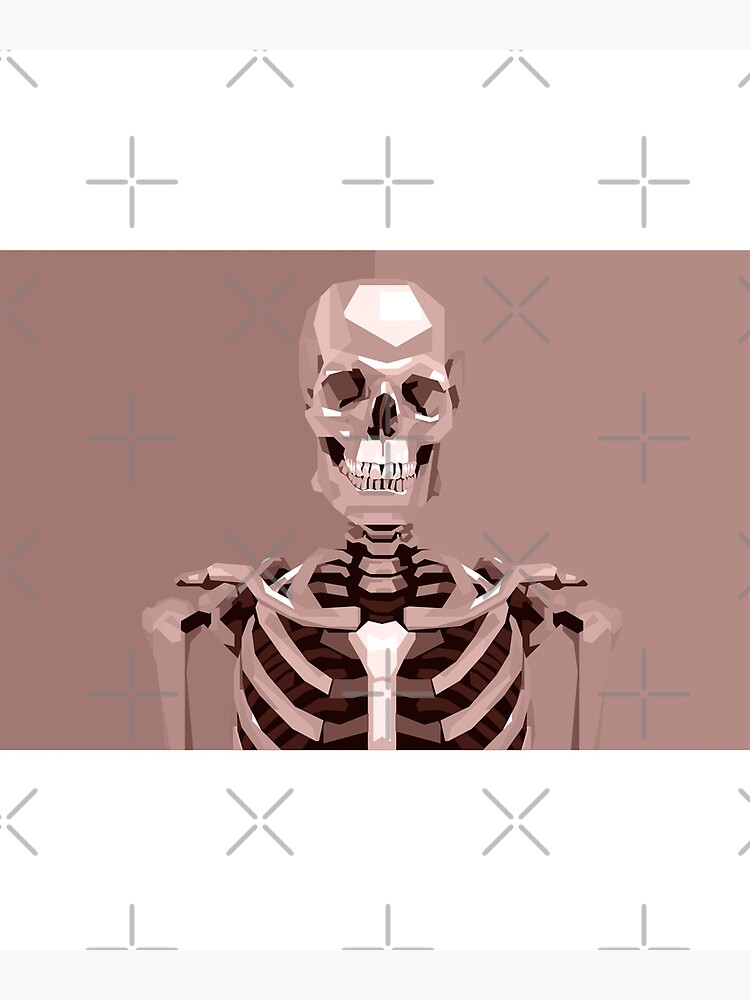 "Human Skeleton - Pale Grey Reflection" Poster by uberanatomy | Redbubble